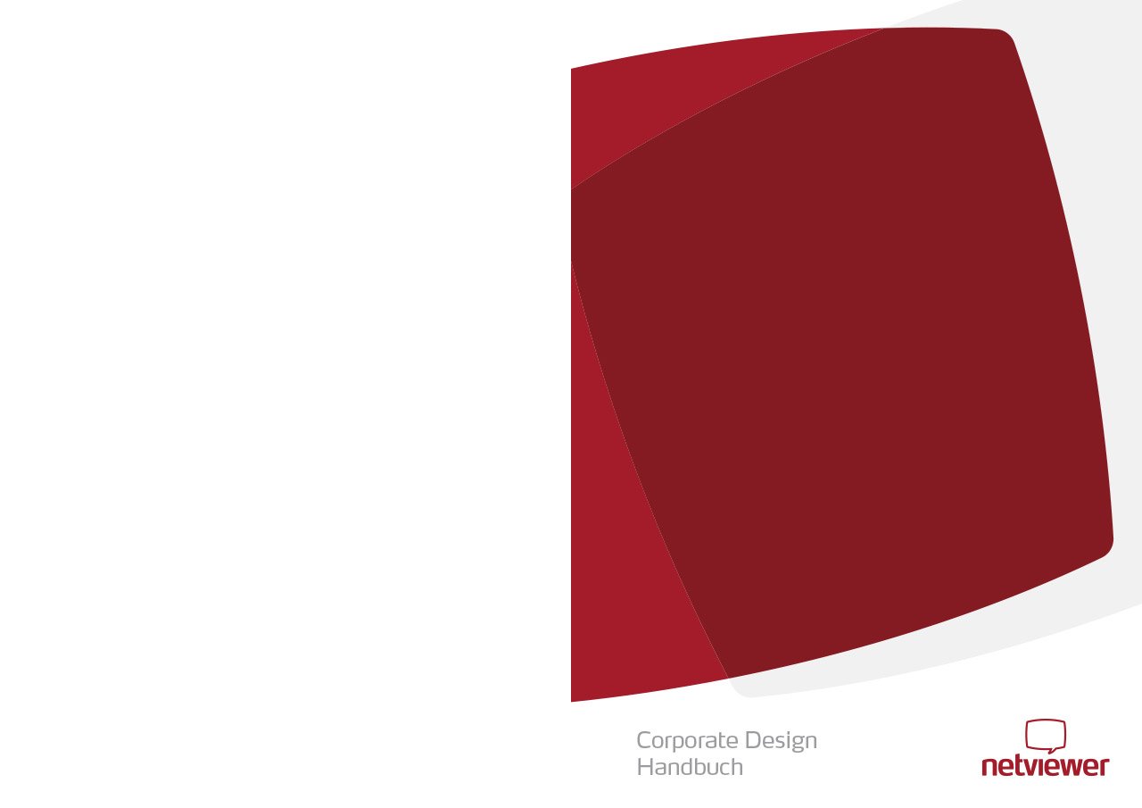 Netviewer Corporate Design — BUREAU olsson holzmann